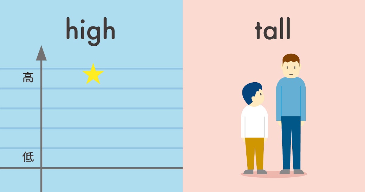 high と tall の違いとは？