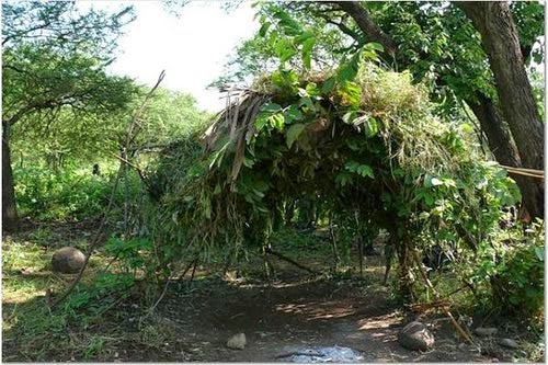 WALKING WITH THE BUSHMEN "HADZABE" IN TANZANIA ~ Ukarimu Blog - The ...