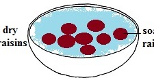 To determine the mass percentage of water imbibed by raisins - Lab Work ...