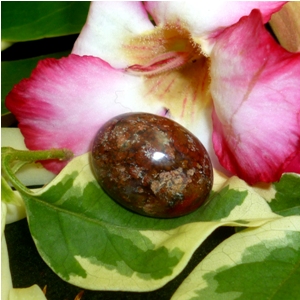 GUDANG BERTUAH: MUSTIKA SILUMAN HARIMAU BRAJAD API AMPUH | Mustika ...