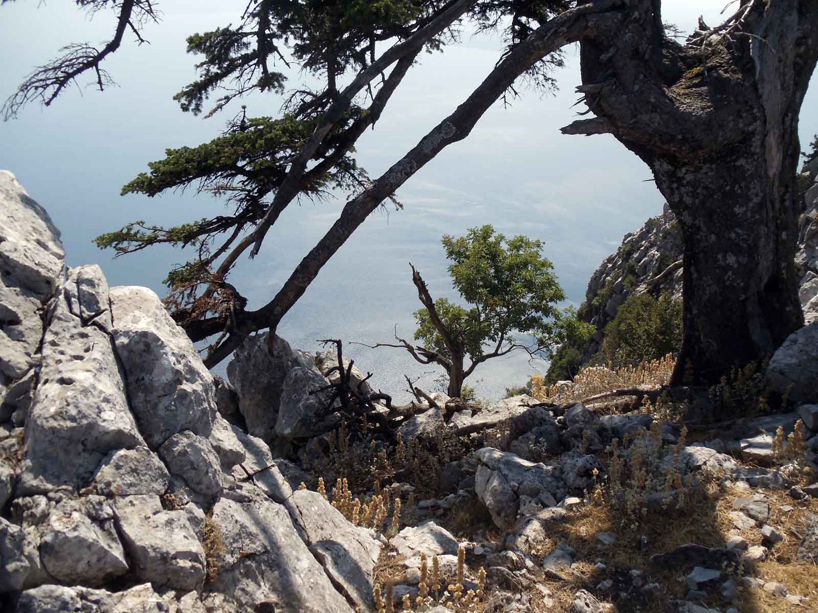 Με τον ΦΟΠ στα βουνα: ΟΡΟΣ ΚΑΝΤΗΛΙ (ΕΥΒΟΙΑ) 1246μ, Διαδρομή Τρούπι ...