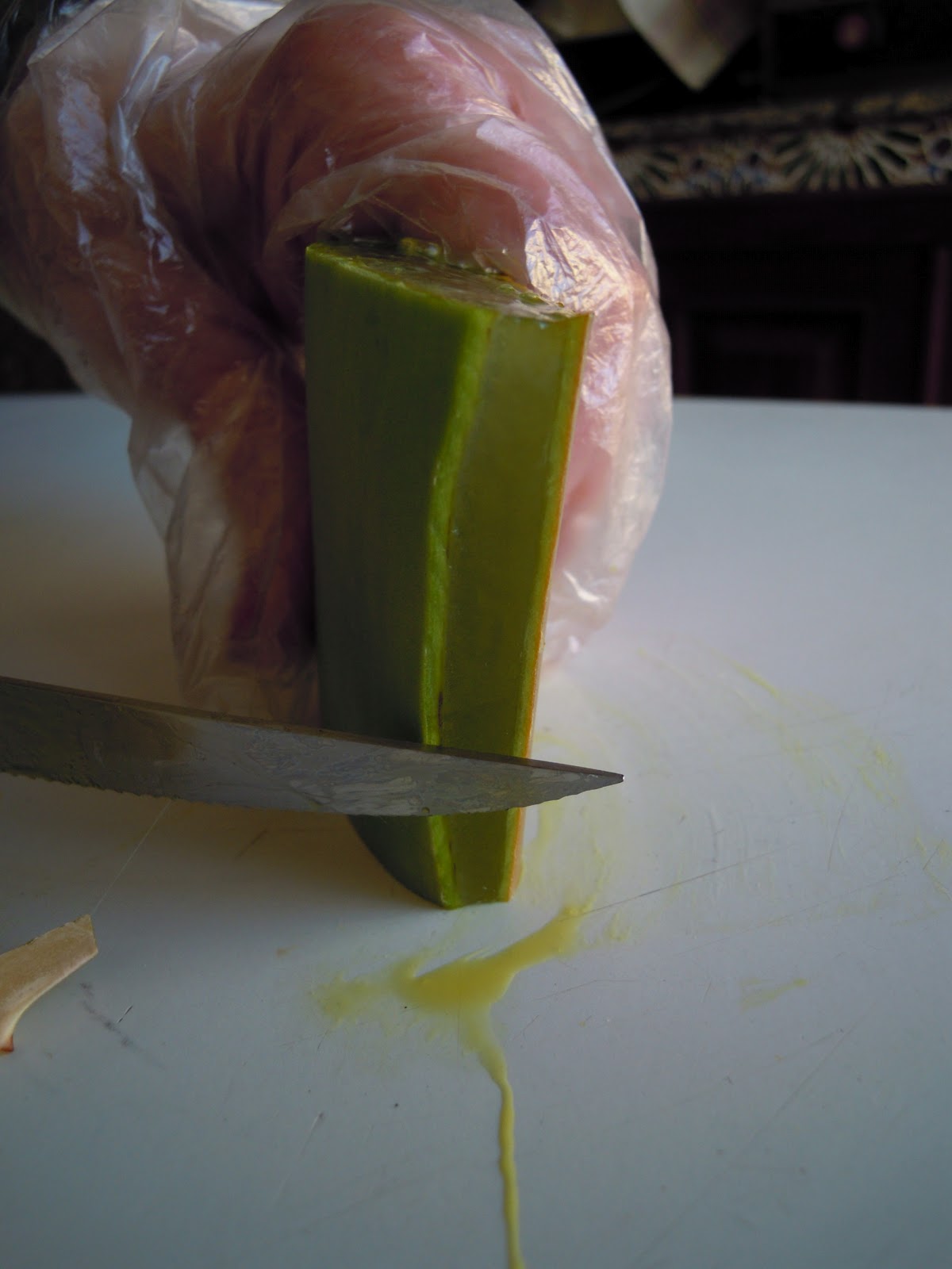 ¿QUÉ ES EL ACÍBAR DEL ALOE Y PARA QUÉ SIRVE? | ALOE VARO