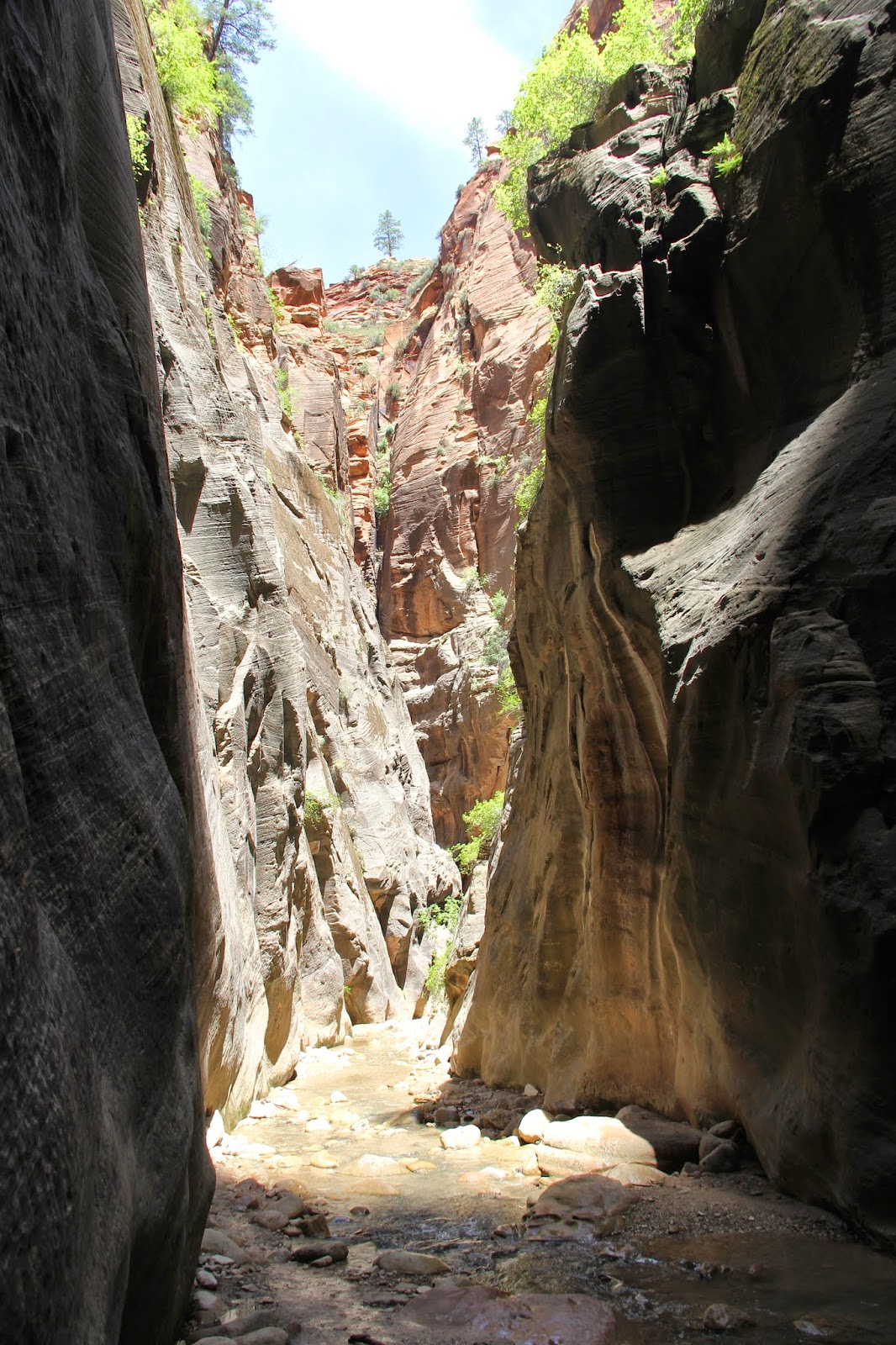 Beit Emmett: Keyhole Canyon and Zion Narrows