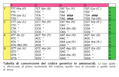 Bioquimica 2 - Replicacion del ADN!!: El codigo genetico