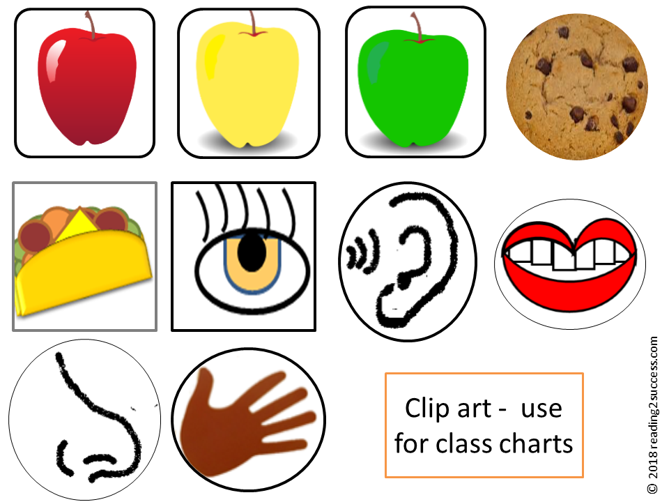 Reading2success: Main Idea, Adjectives, Verbs and the 5 Senses!