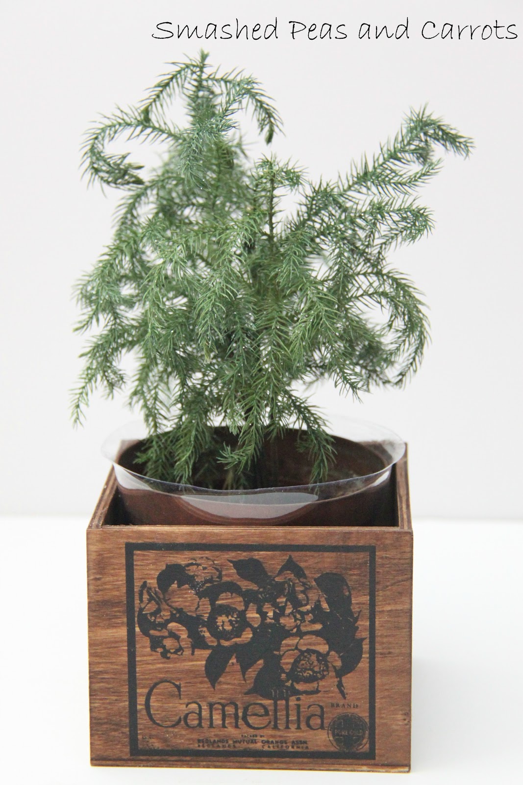 TUTORIAL: How to Make a Vintage Wood Crate And Giveaway - Smashed Peas ...