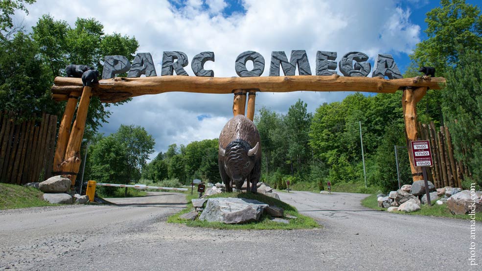Les Steen au Canada: Parc Oméga