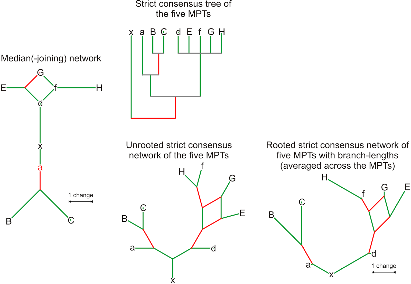 The Genealogical World of Phylogenetic Networks: To what degree are ...