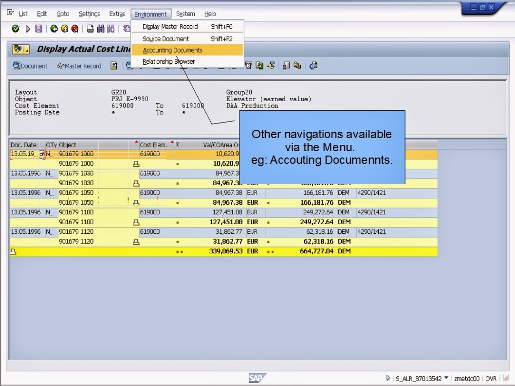 青蛙SAP分享 Froggy's SAP sharing: SAP Project System - Line Item Report