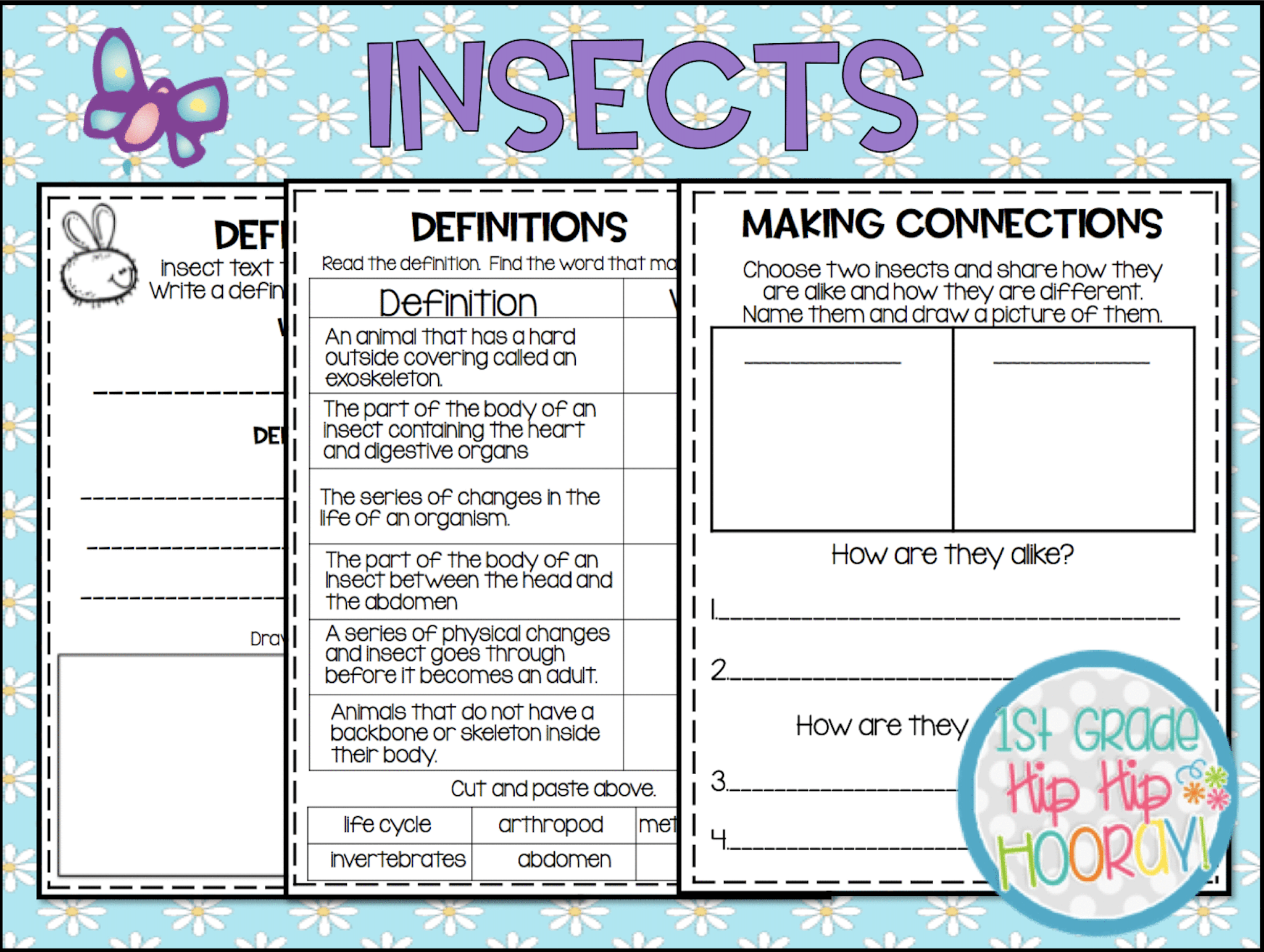 1st Grade Hip Hip Hooray!: Insects!!
