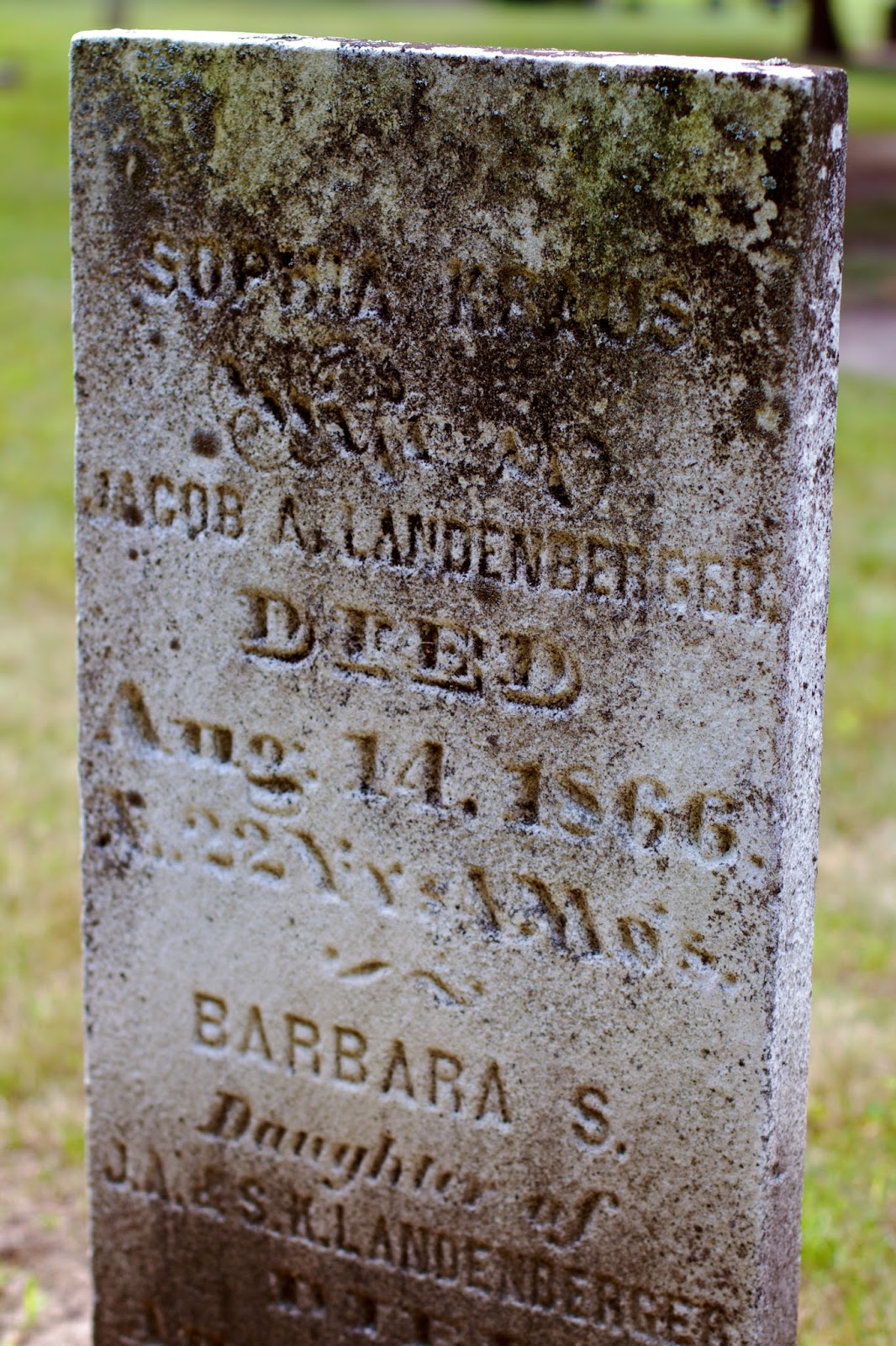 Historical Society of Greater Lansing - Gunnisonville Cemetery Walking Tour