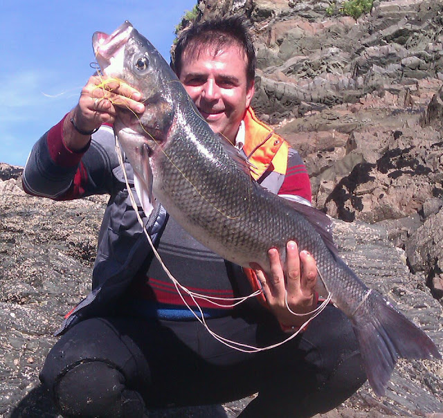 solorobalizas: Robalo de 7 kilos "en la desembocadura del río Nalón"