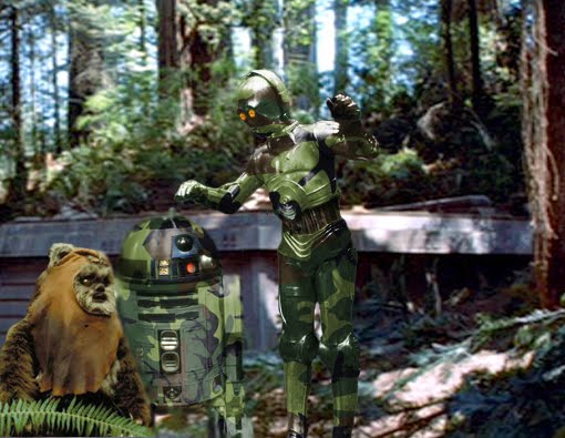 Endor Camouflage