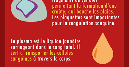 bonus infographie sur les globules rouges ~ COURS de la pharmacie