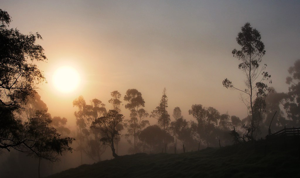 ¿Qué es la "bruma" que hay en Zacatlán? - Hola Zacatlán ...