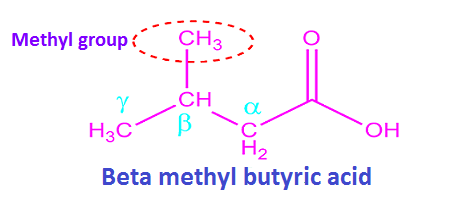 IUPAC name and structural formula of beta methyl butyric acid - PG.CHEMEASY