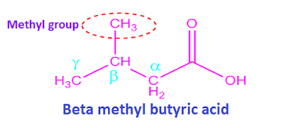 IUPAC name and structural formula of beta methyl butyric acid - PG.CHEMEASY