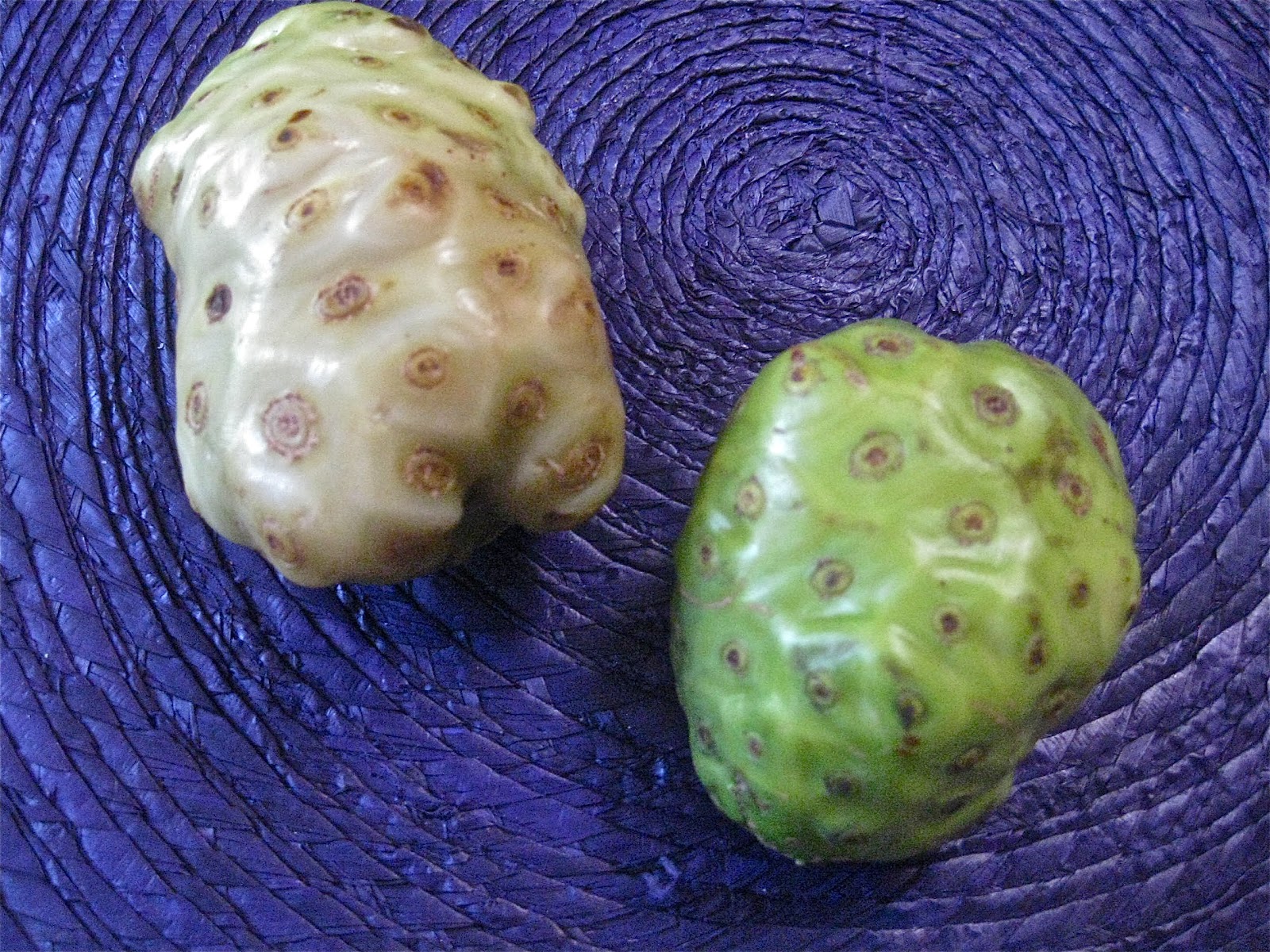 Flavors of the Sun: The Mysterious Fruit