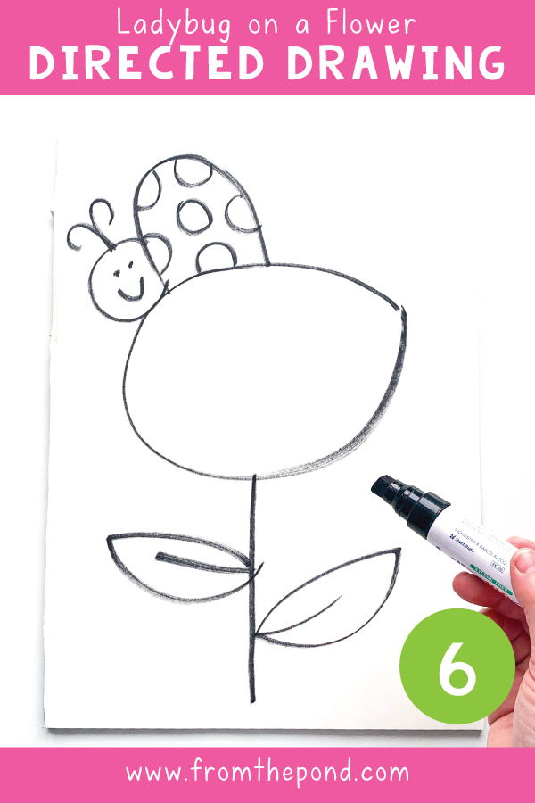Ladybug on a Flower Directed Drawing | From the Pond