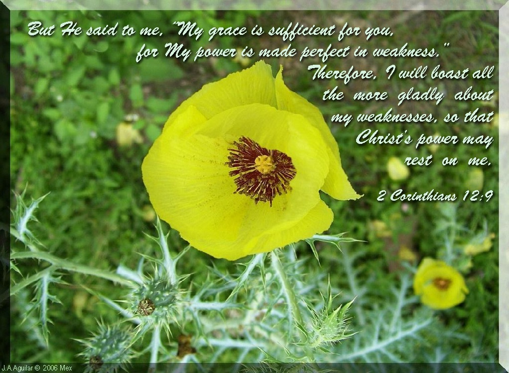 Inspiration for you...: 2 Corinthians 12:9