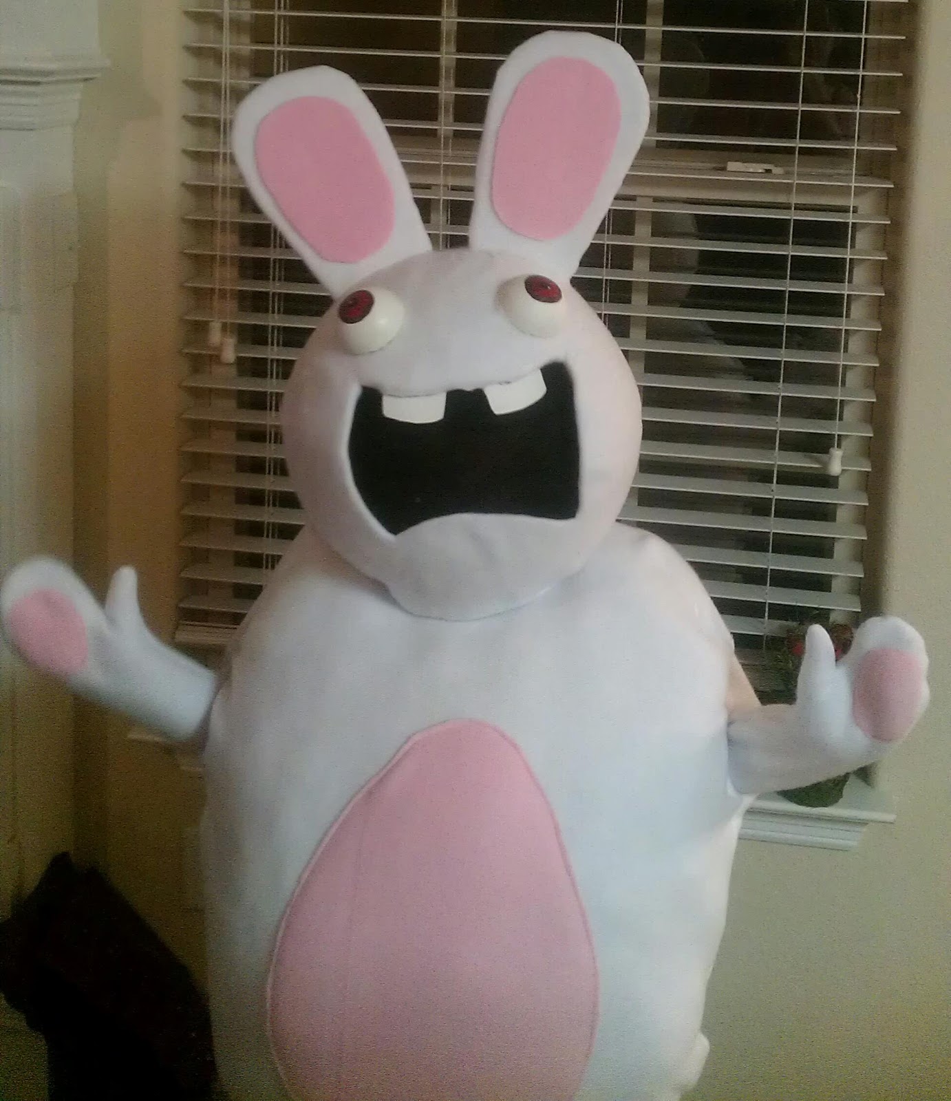 MoonRuffle: The boychilds Raving Rabbid Costume