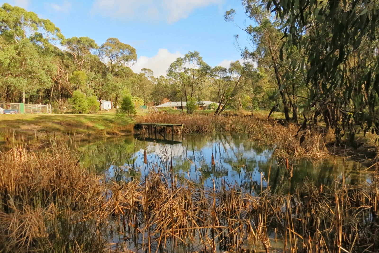 TORCH, SWORD, SHIELD: Adventures in Australia - Woodend, Victoria