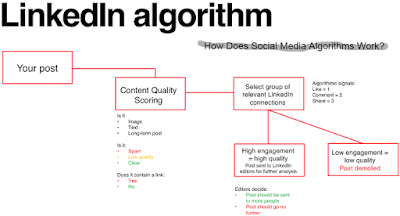 How Does Social Media Algorithms Work?