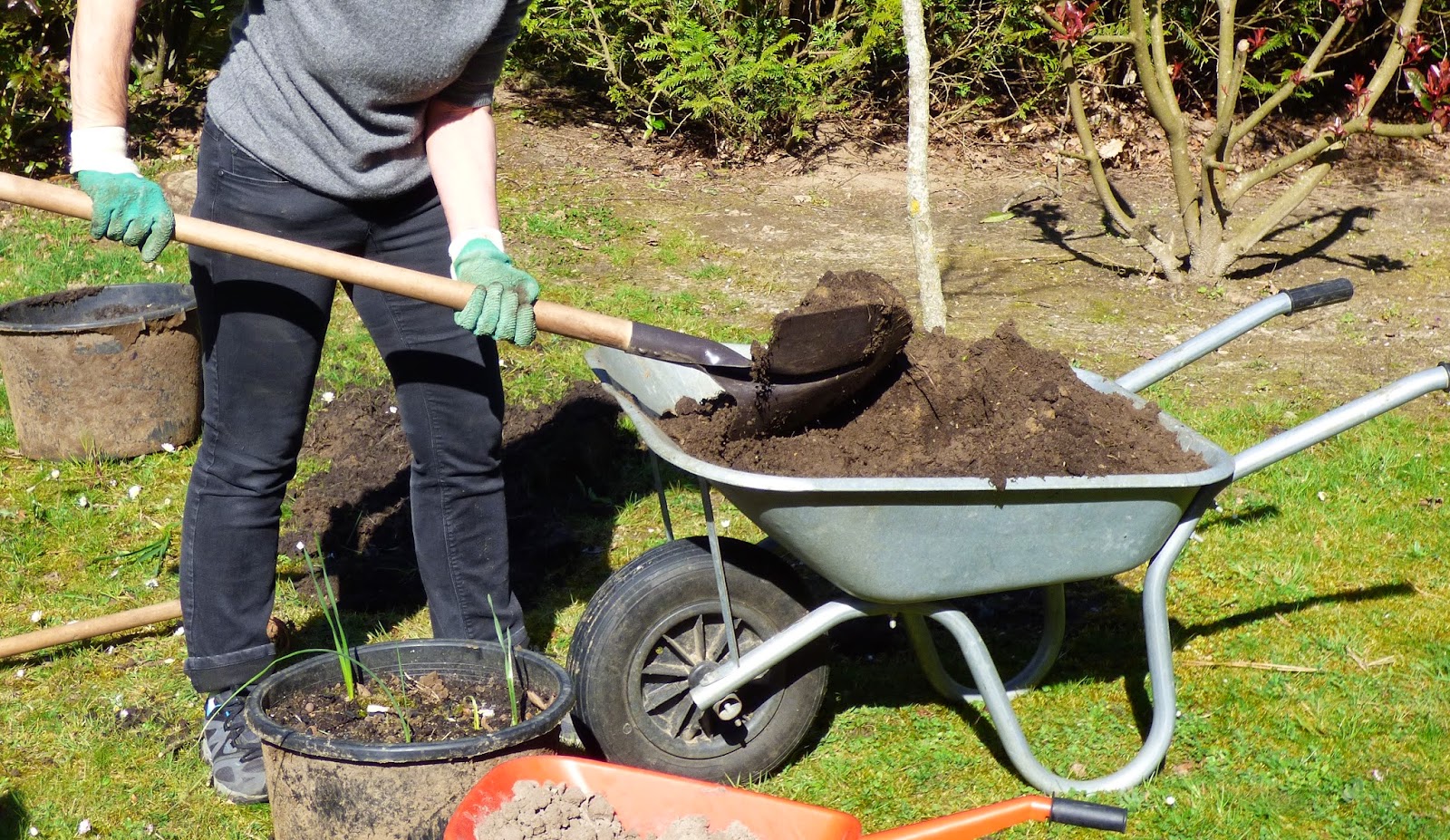 Une semaine à Paris-Forêt: Jardiner - Le Défi Potager #7 : l'accélération