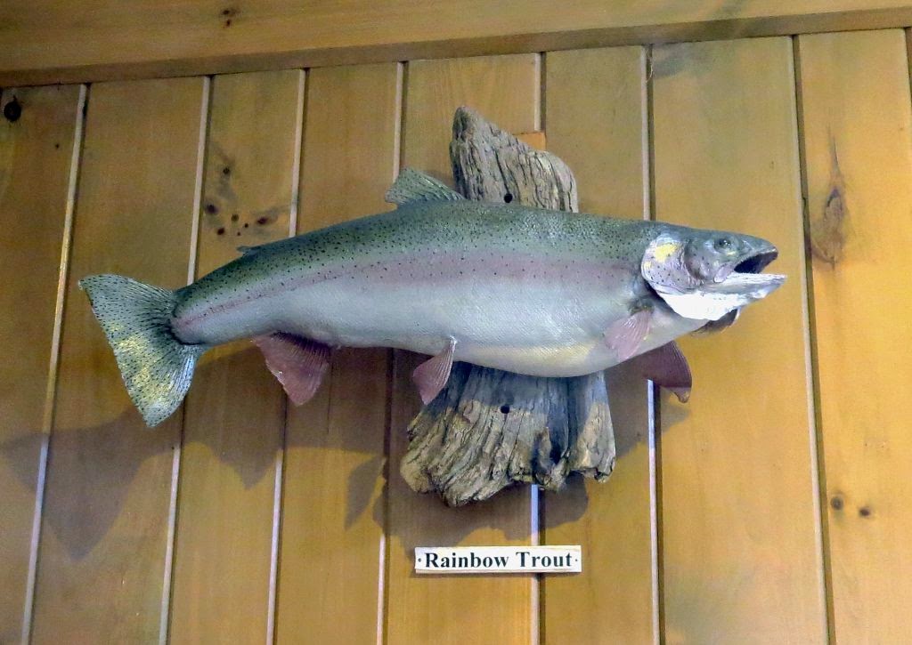 Windswept Adventure: The Adirondack Fish Hatchery In Lake Clear, New York