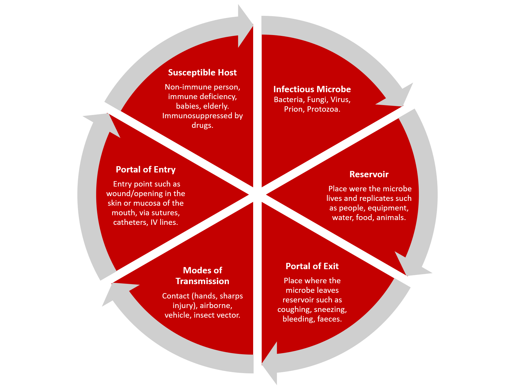 Infection Prevention