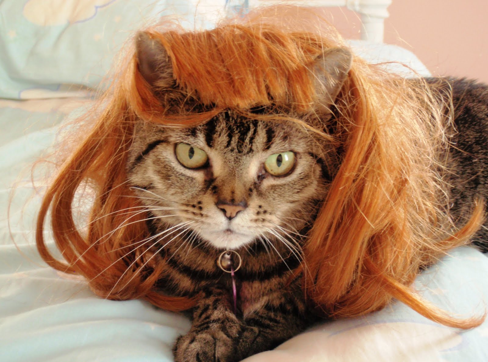 The Chronicles of Cardigan: 'In the throes of a mid-life crisis, Tigger ...