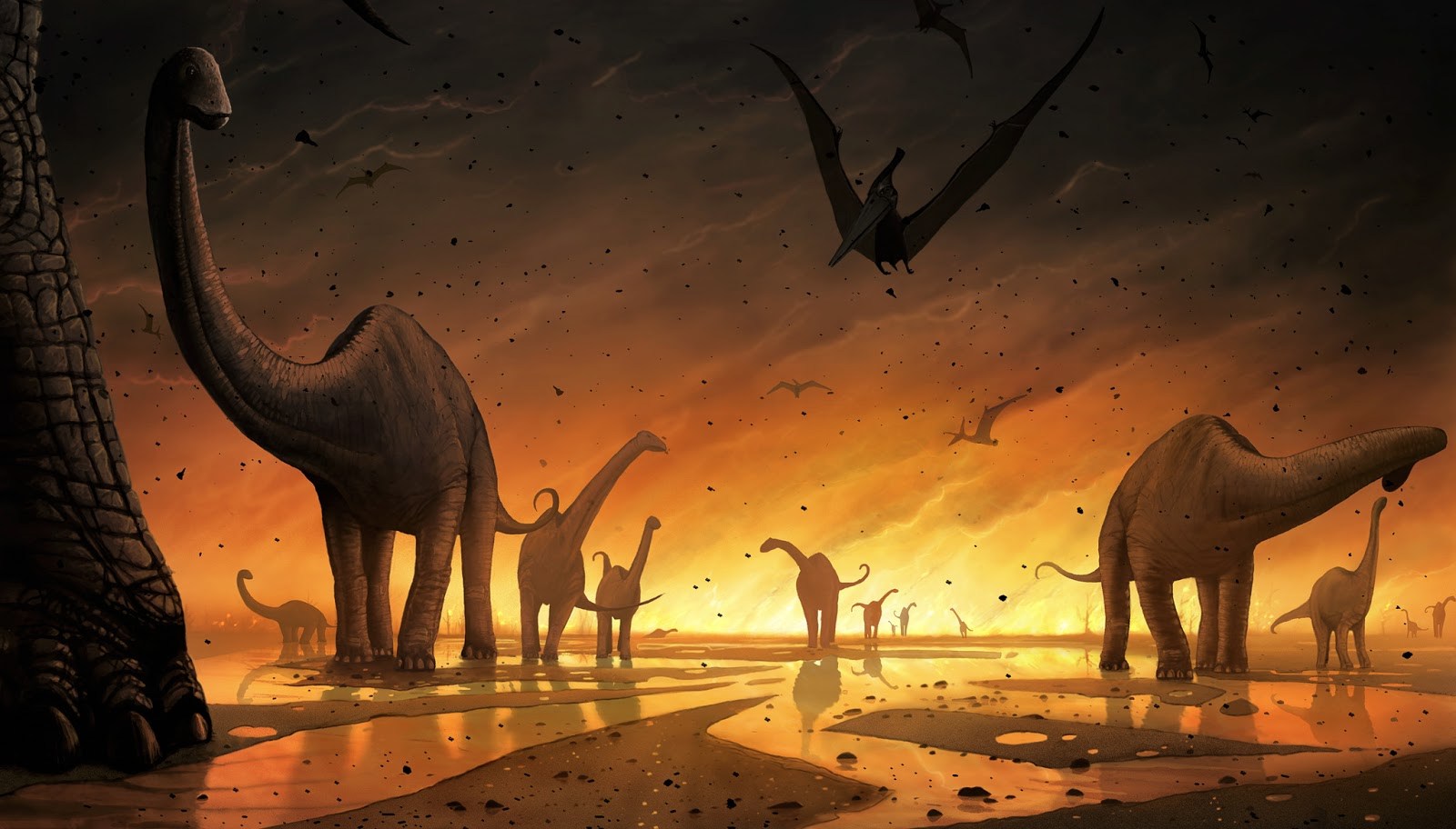 Cretaceous-Paleogene extinction event