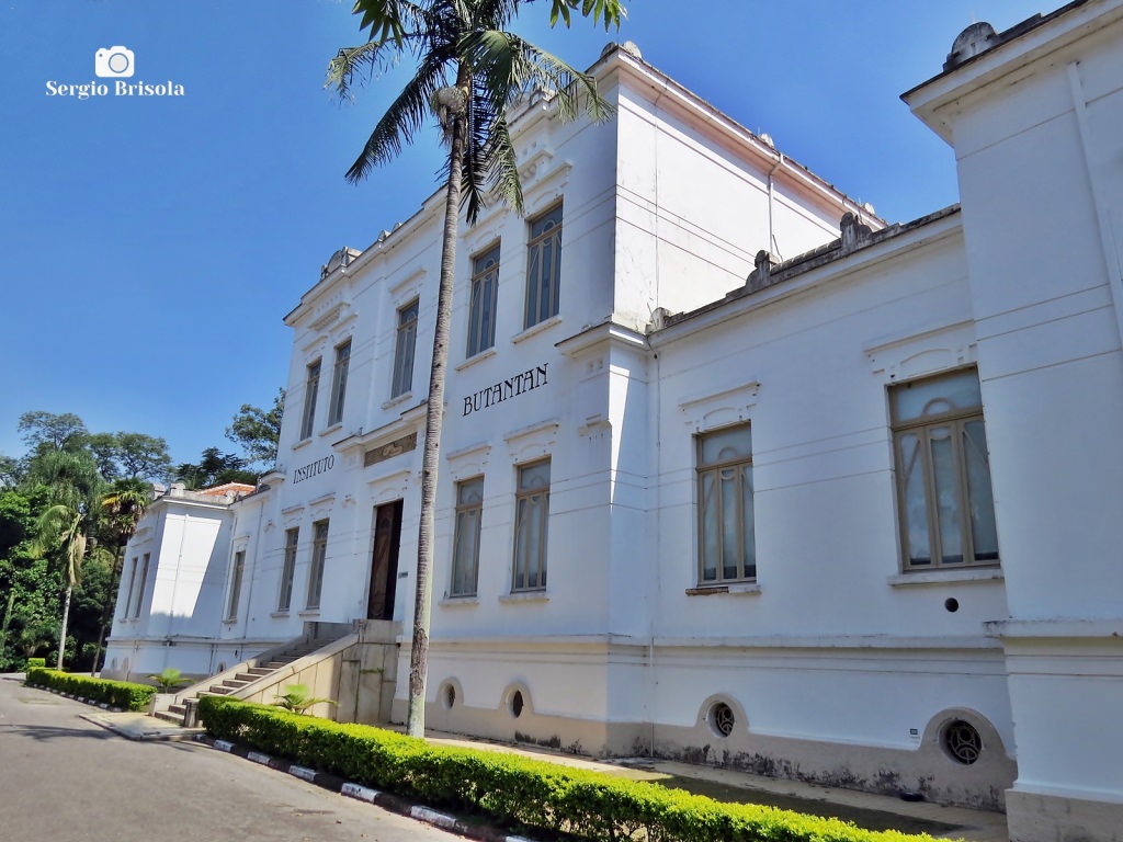 Edifício Vital Brazil - Instituto Butantan (vista lateral) - Descubra ...