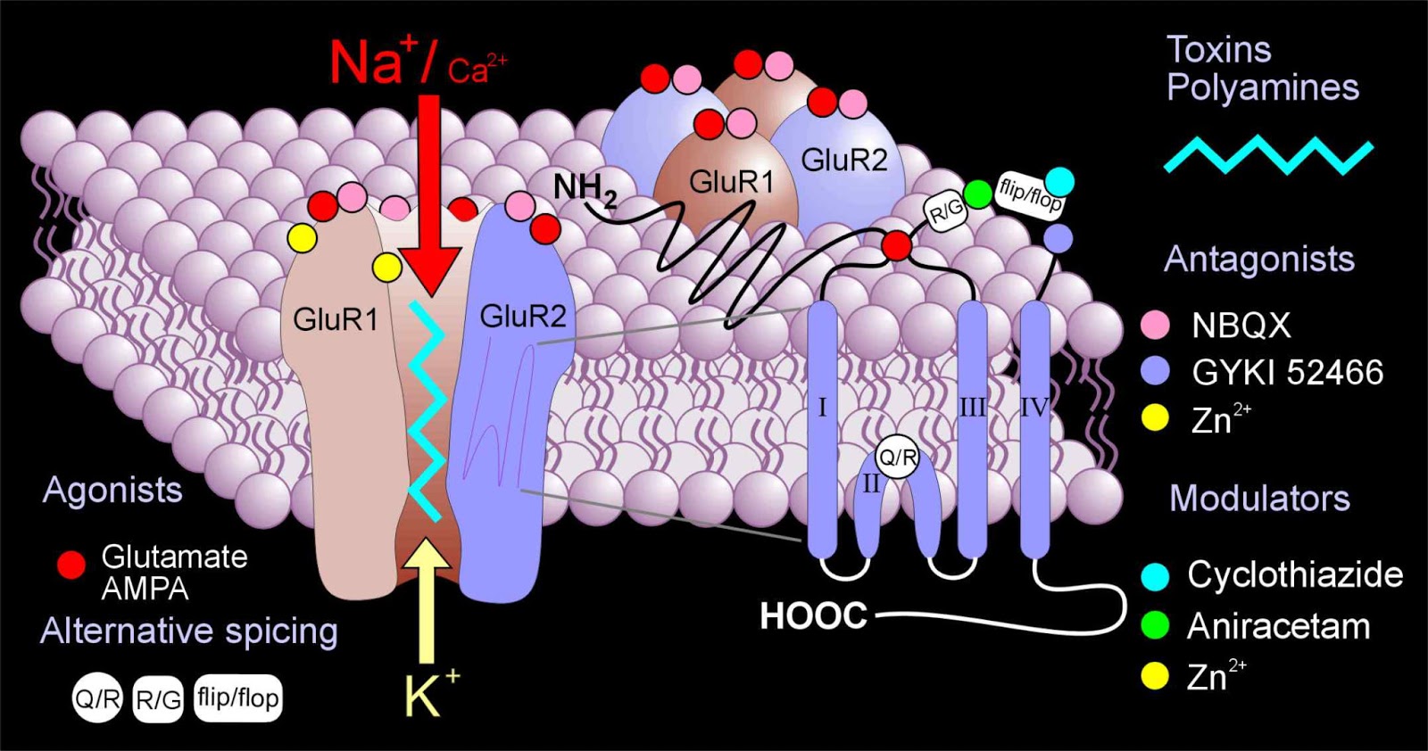 The Cellular Scale: January 2013