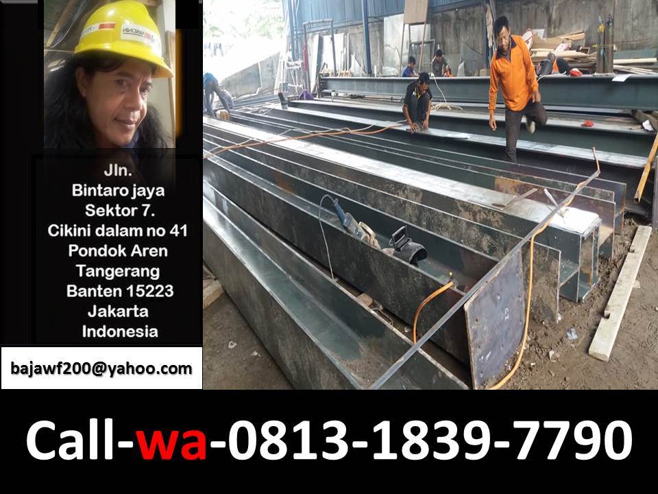 baja wf 700: baja wf 700