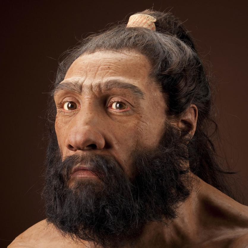 All too Human : I am Finnish..and part Neanderthal...