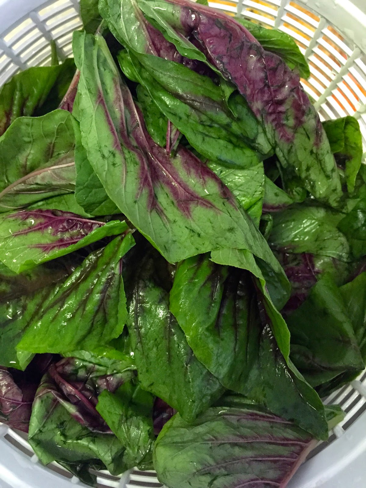 Thotakura Pappu(Chavuli Dal/Amaranth leaf Cooked with Yellow lentils ...