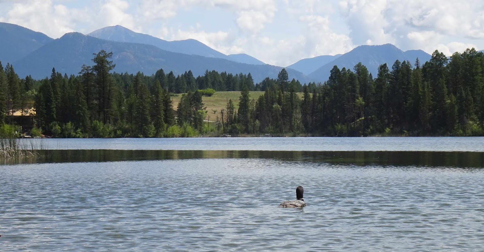 Wandering His Wonders: Exploring the Waters of Invermere, British Columbia