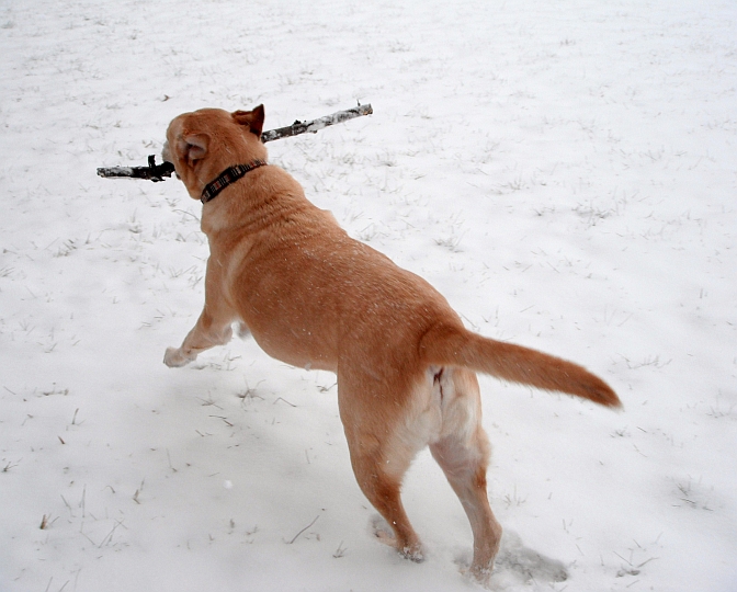 Dancing Dolphin Pottery Studio - Home of Crop Circle Clay: Happy ...