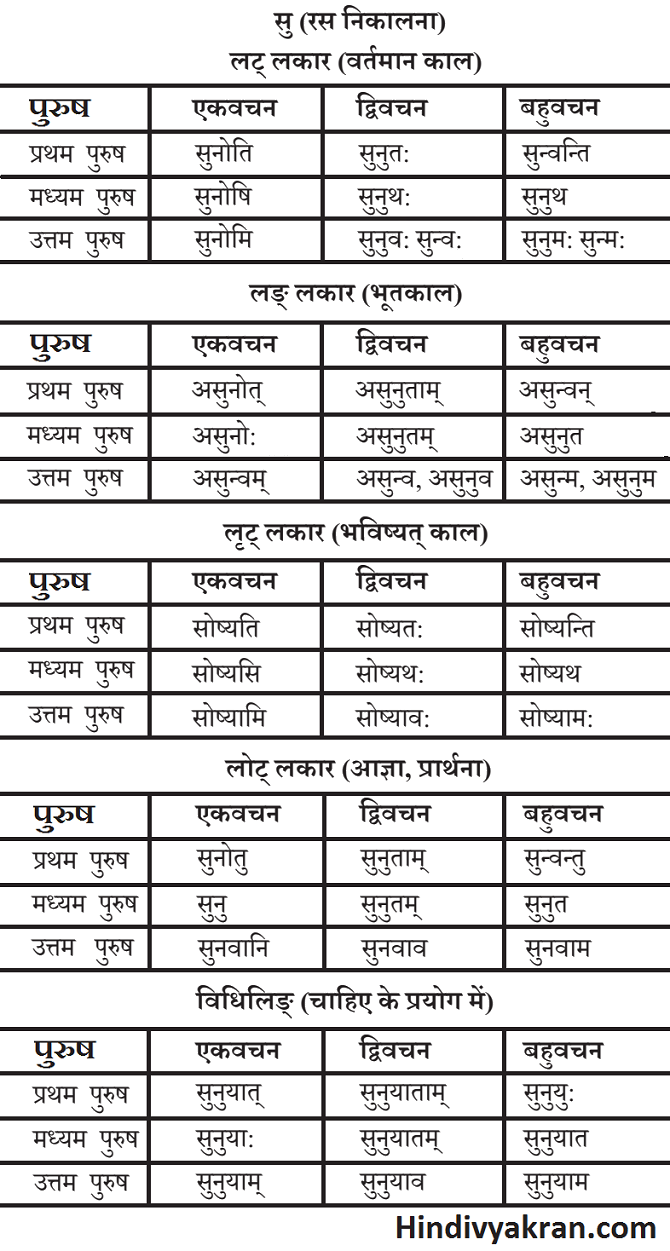 सु धातु के रूप संस्कृत में – Su Dhatu Roop In Sanskrit | HindiVyakran
