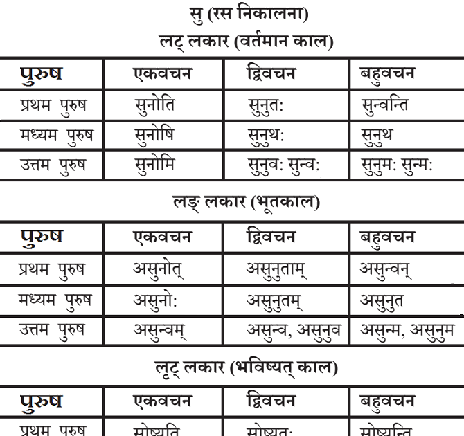 सु धातु के रूप संस्कृत में – Su Dhatu Roop In Sanskrit | HindiVyakran
