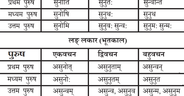 सु धातु के रूप संस्कृत में – Su Dhatu Roop In Sanskrit | HindiVyakran