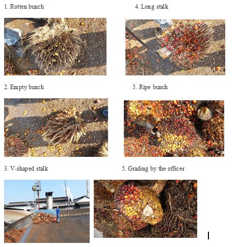 Sharing station: Weighbridge and loading ramp
