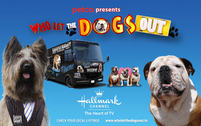 Who Let the Dogs Out? ~ Pawsitively Humane, Inc.