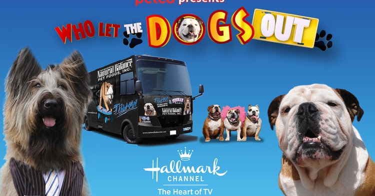 Who Let the Dogs Out? ~ Pawsitively Humane, Inc.