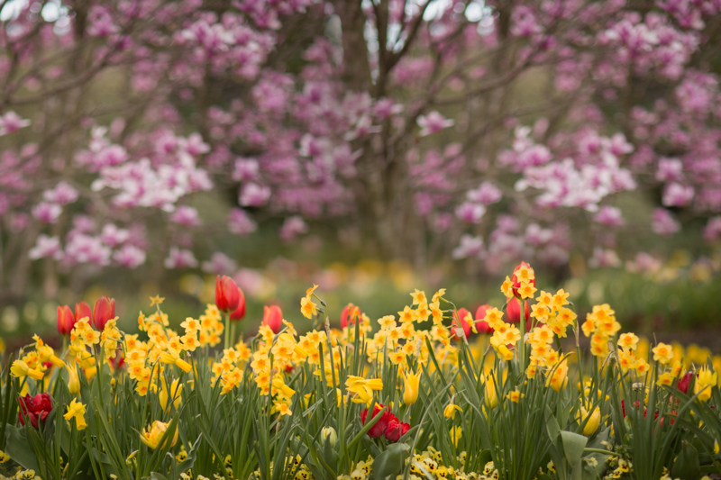 Background for Image Edit - Tricks by R@jdeep