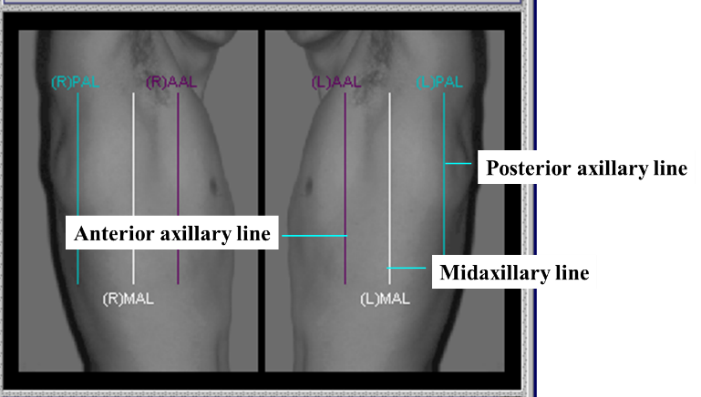 Neck, Thorax and Lung Assessment | notes.nursium.com