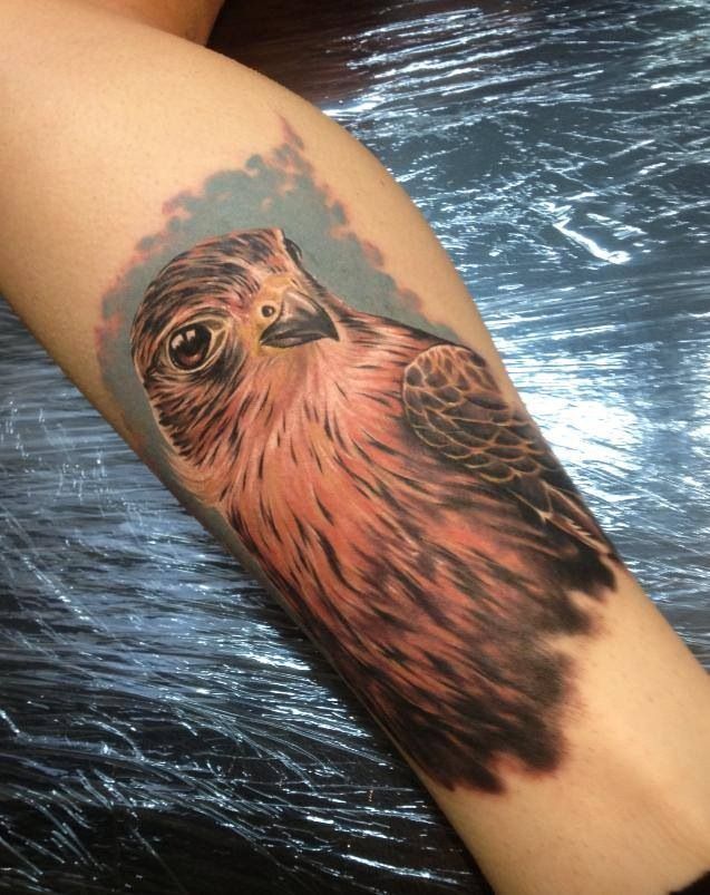 Learn The Beauty Of Blogging: 20+ Falcon Tattoo Design And It's Meaning ...