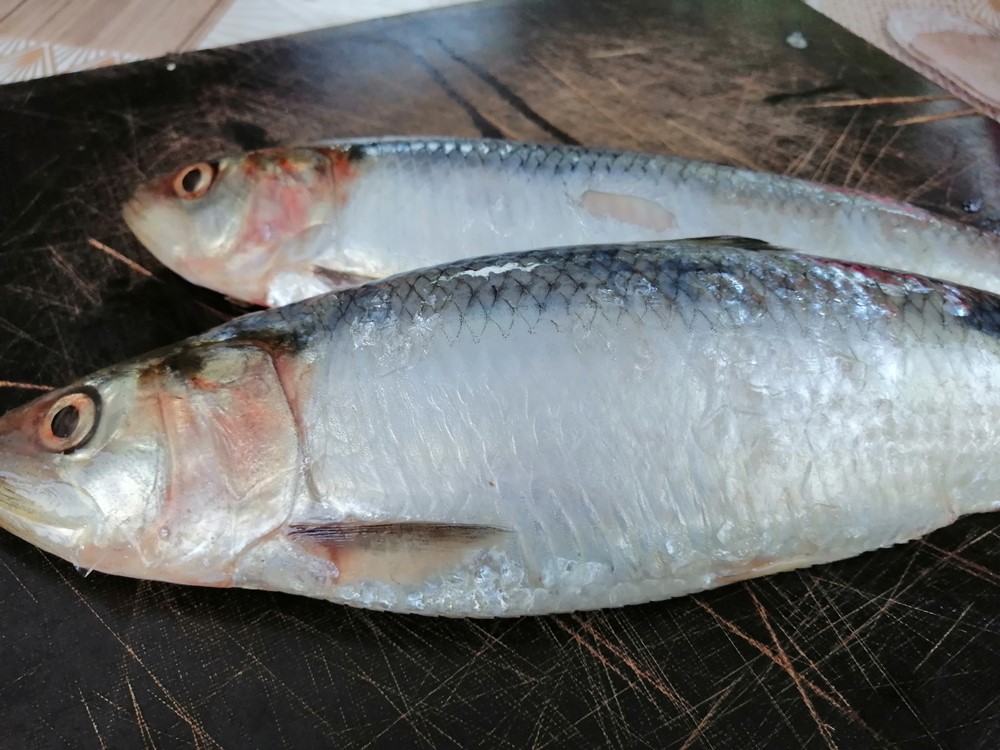 Scrumbie marinata rapid, la rece - CAIETUL CU RETETE